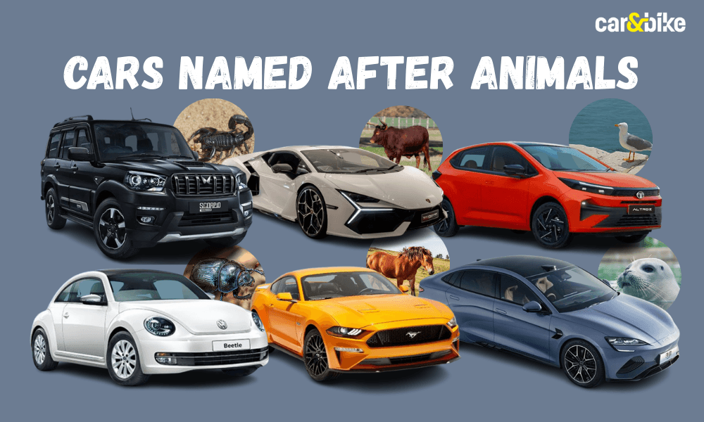 Name Cars Images